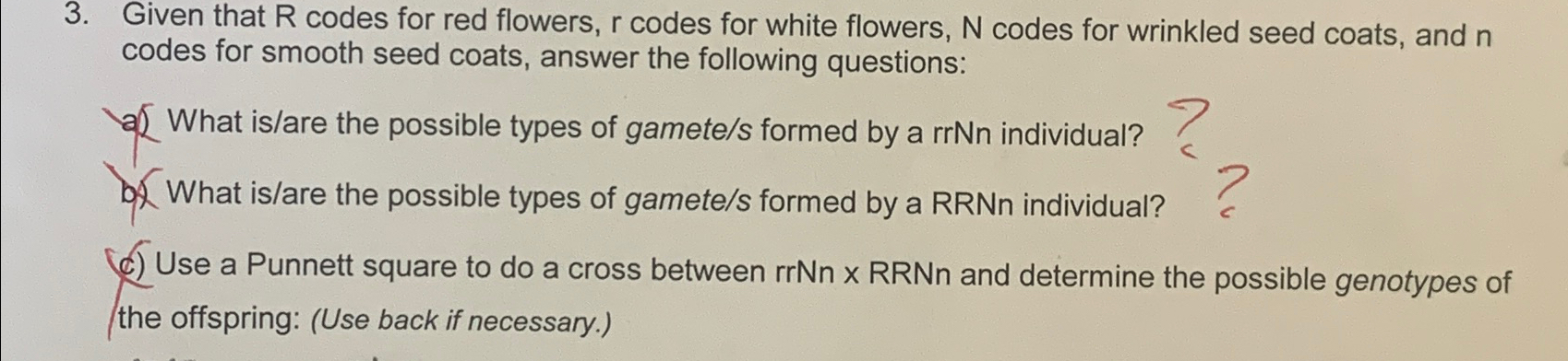 Solved Given that R ﻿codes for red flowers, r ﻿codes for | Chegg.com