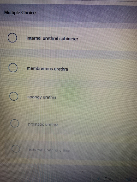 Solved Multiple Choice internal urethral sphincter | Chegg.com