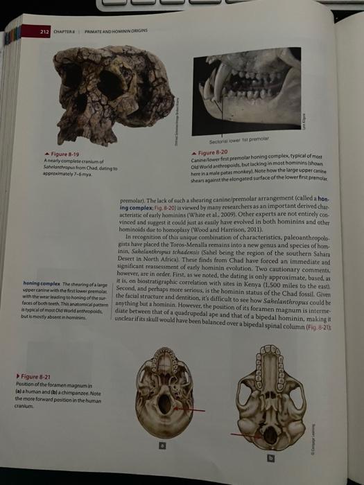 Review the material in this week's Module related to | Chegg.com