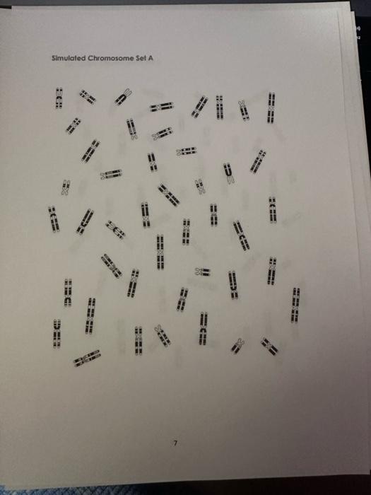 Solved Pair the chromosomes, matching those that have the | Chegg.com