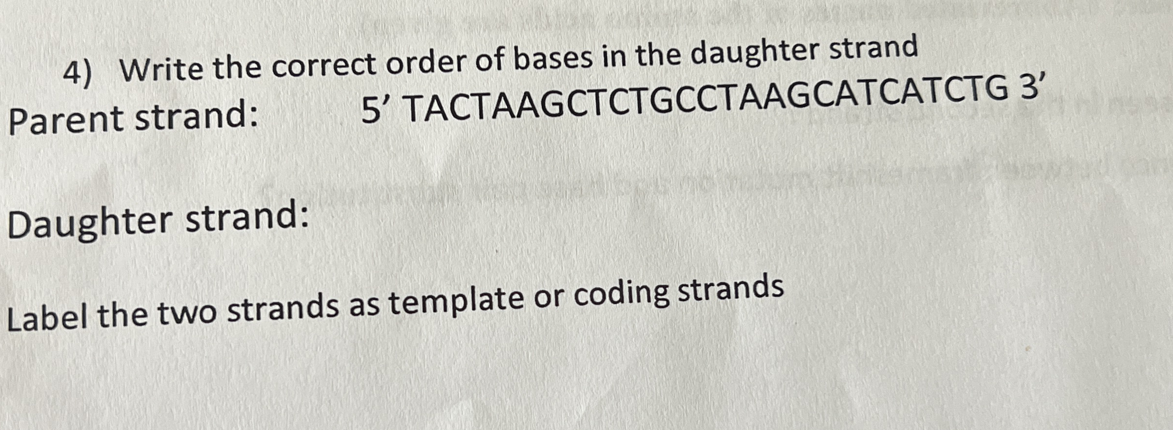 Solved Write the correct order of bases in the daughter | Chegg.com