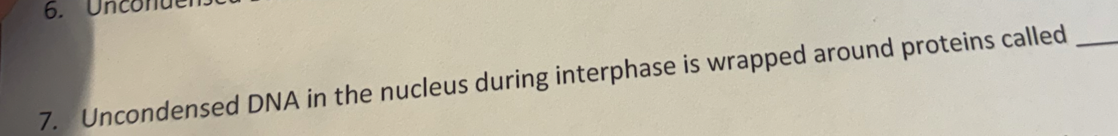 High Quality SOLUTION Uncondensed DNA in the nucleus during interphase ...