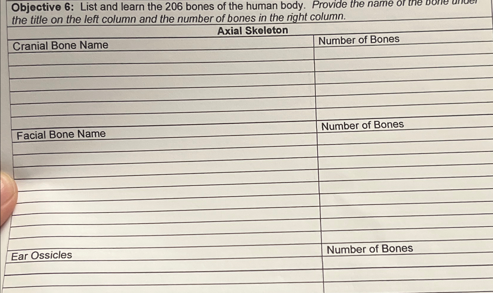 Solved Objective 6: List and learn the 206 ﻿bones of the | Chegg.com