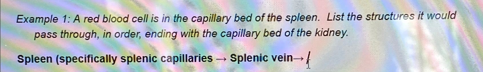 Solved Example 1: A red blood cell is in the capillary bed | Chegg.com