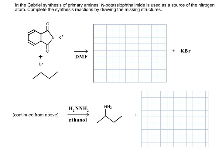 In the Gabriel synthesis of primary amines, | Chegg.com