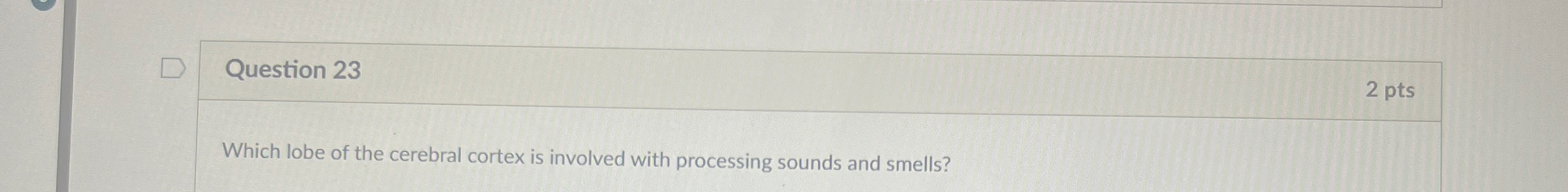 Solved Question 232 ﻿ptsWhich lobe of the cerebral cortex is | Chegg.com