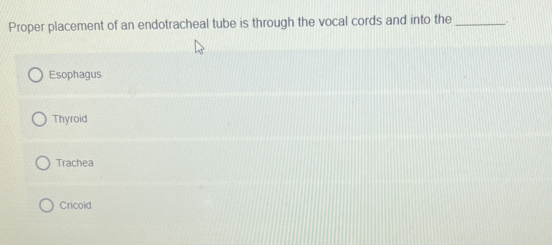 Solved Proper placement of an endotracheal tube is through | Chegg.com