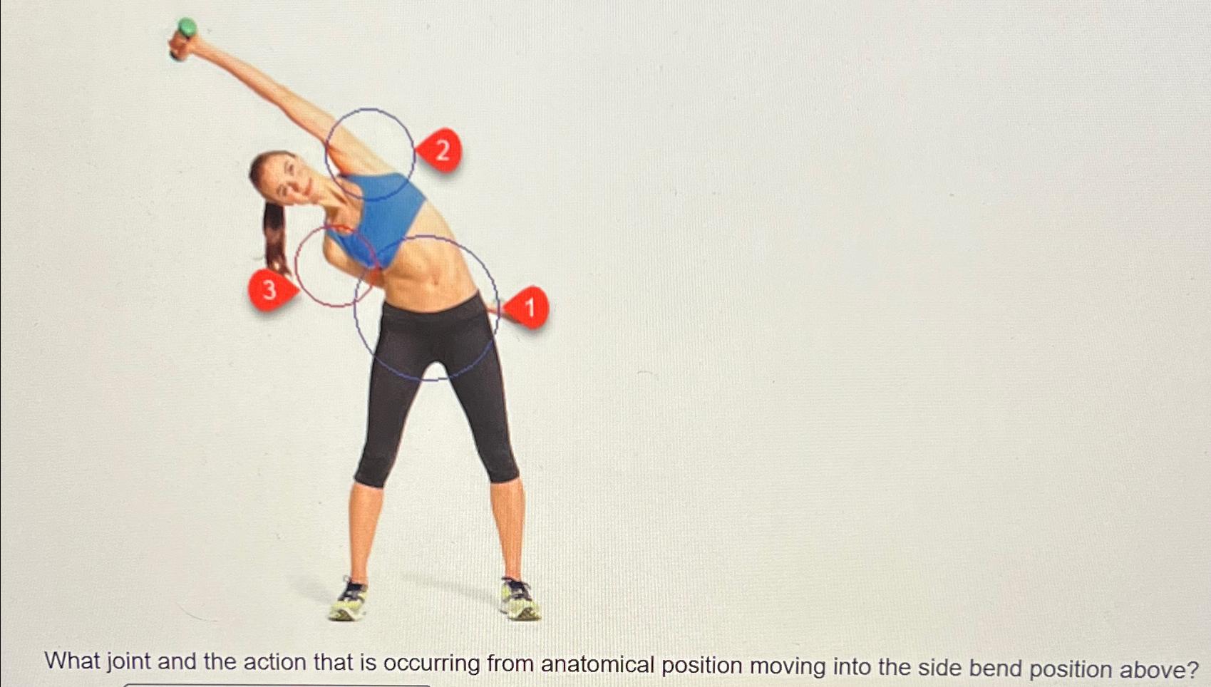 Solved What joint and the action that is occurring from | Chegg.com