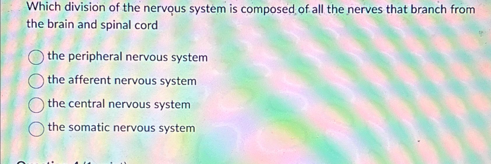 Solved Which division of the nervous system is composed of | Chegg.com