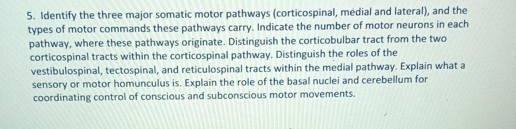 Solved 5. Identify the three major somatic motor pathways | Chegg.com