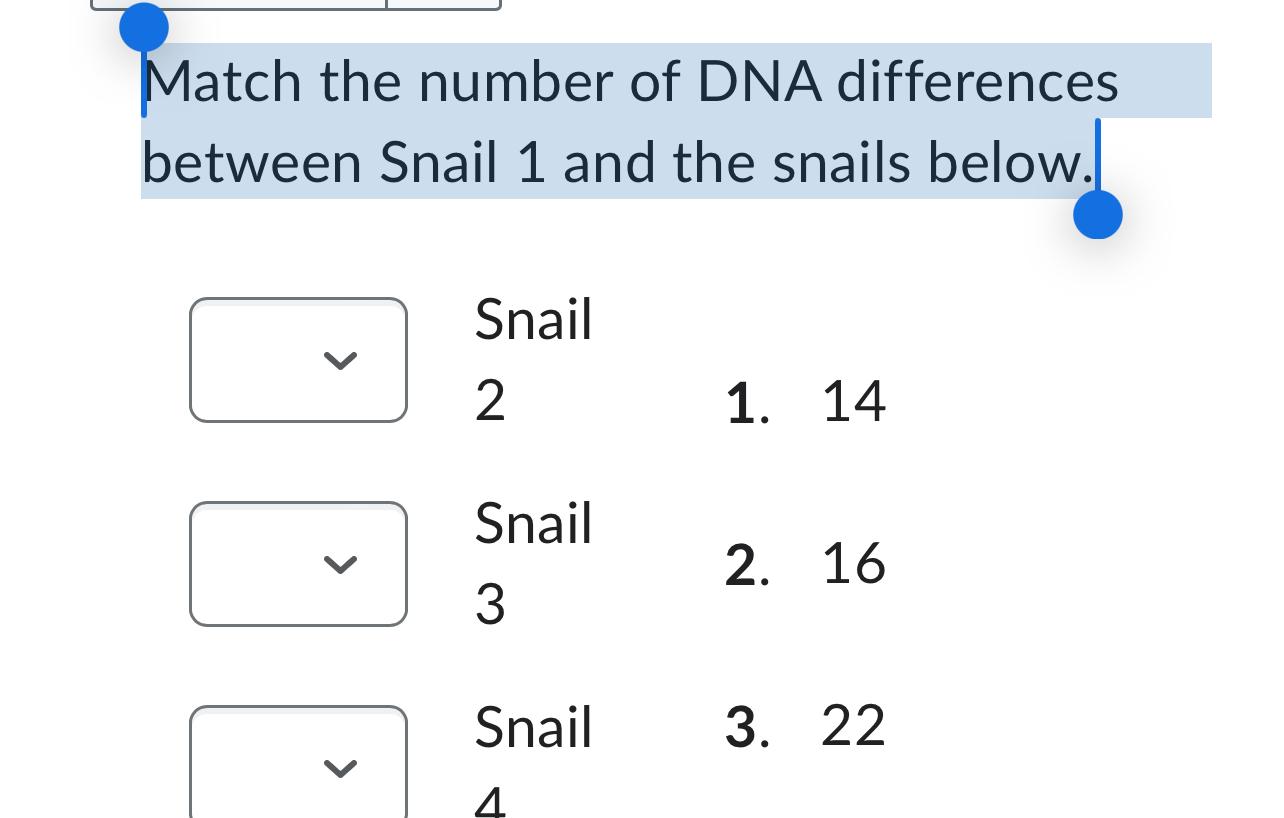 Solved Match the number of DNA differences between Snail 1 | Chegg.com