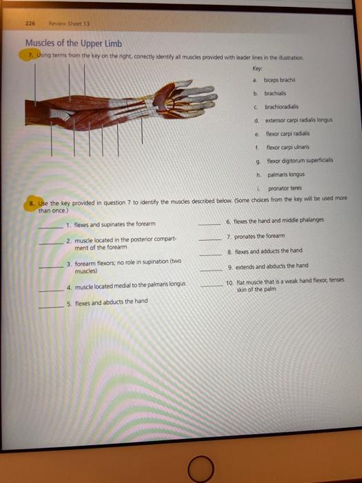 Solved 226 Review Short 13 Muscles of the Upper Limb 7. | Chegg.com