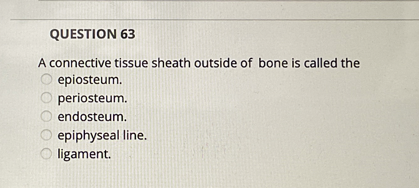 Solved QUESTION 63A connective tissue sheath outside of bone | Chegg.com