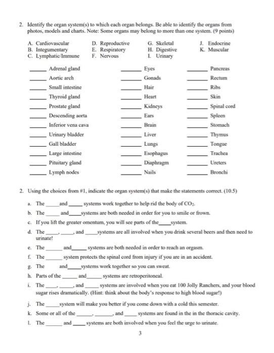 Solved 2. Identify the organ system(s) to which each organ | Chegg.com