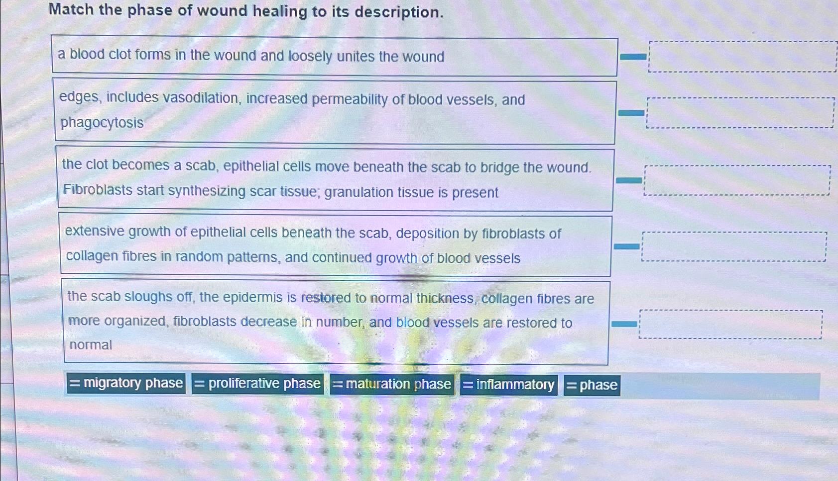 Solved Match the phase of wound healing to its description.a | Chegg.com