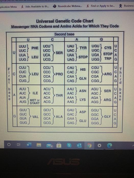 Instruction: for Licorice, Marshmallow, and Beads DNA | Chegg.com