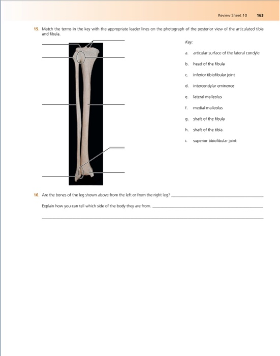 Solved U Instructors may assign a portion of the Review | Chegg.com