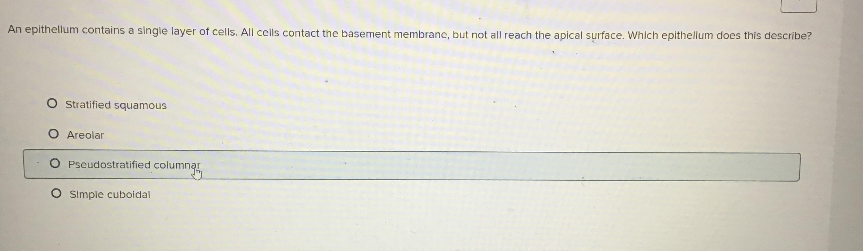 Solved An epithelium contains a single layer of cells. All | Chegg.com