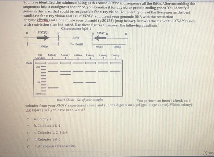 Solved You have identified the minimum tiling path around | Chegg.com