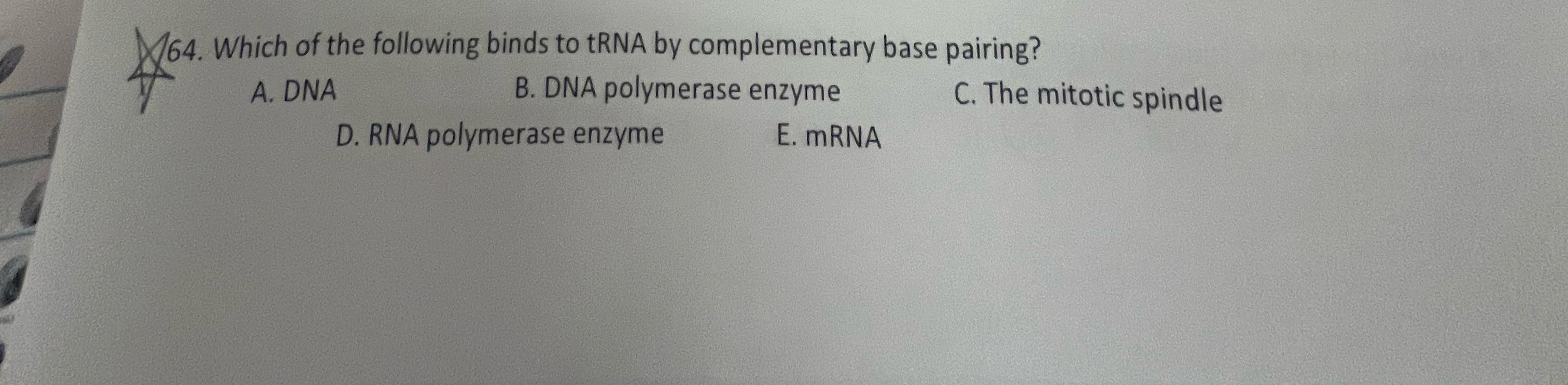 Solved Which of the following binds to tRNA by complementary | Chegg.com