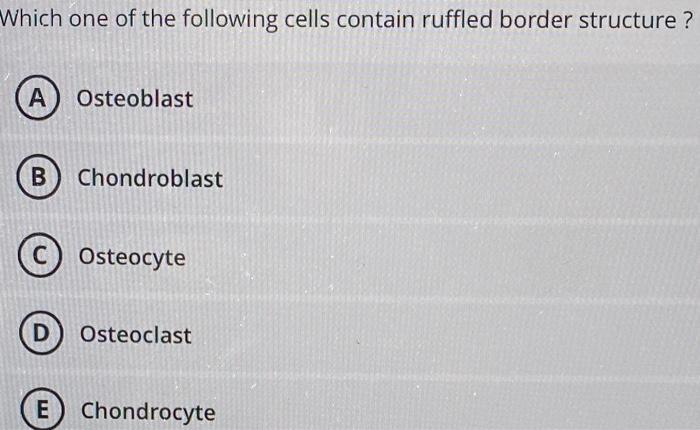 Solved Which one of the following cells contain ruffled | Chegg.com