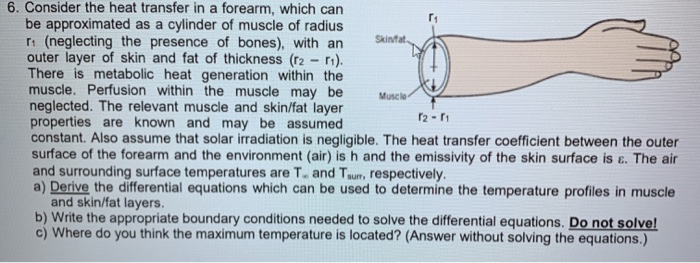 6. Consider the heat transfer in a forearm, which can | Chegg.com
