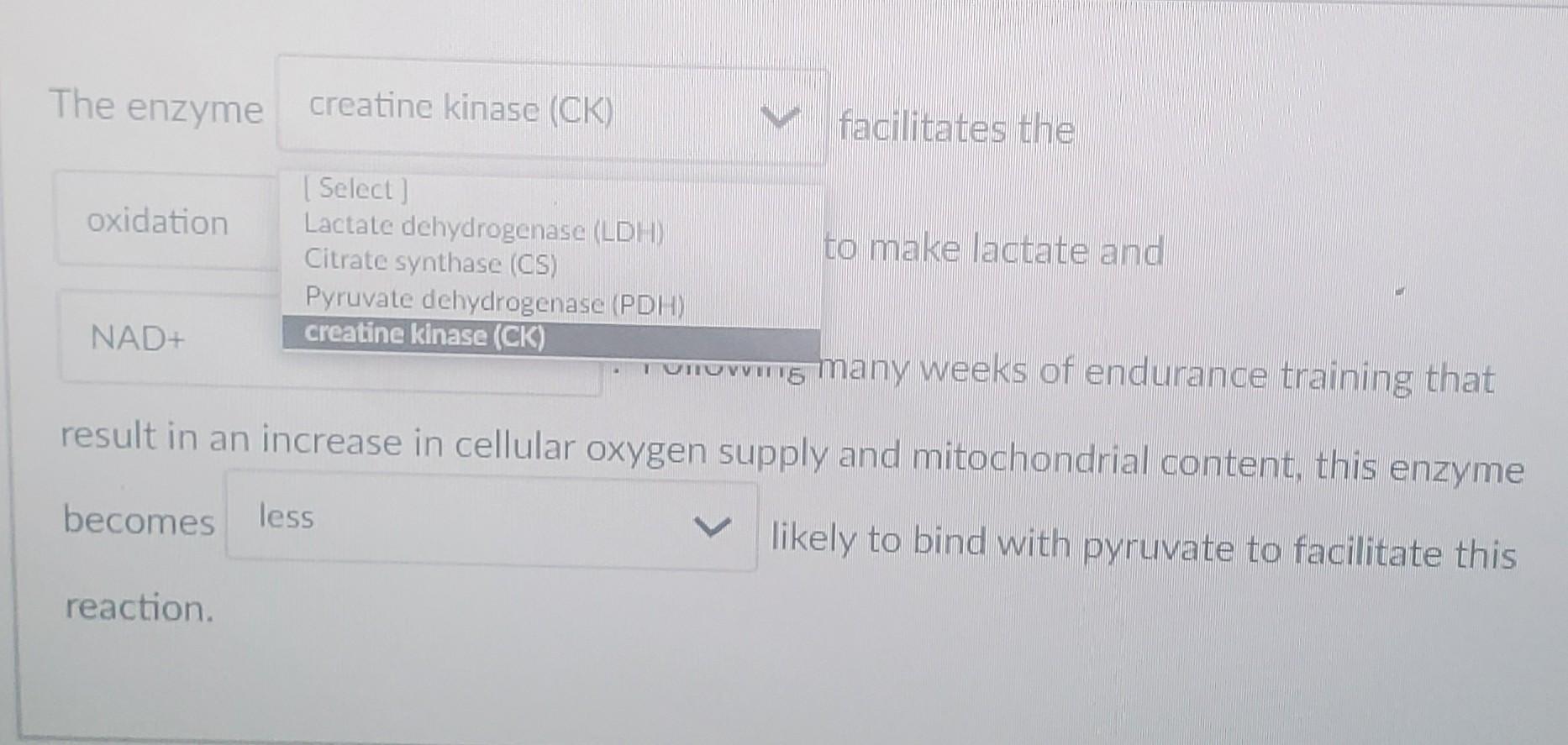 Solved The enzyme creatine kinase (CK) facilitates the | Chegg.com