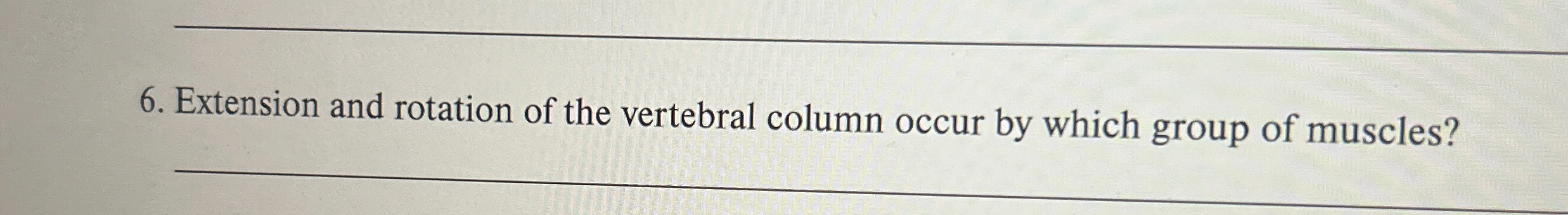Solved Extension and rotation of the vertebral column occur | Chegg.com