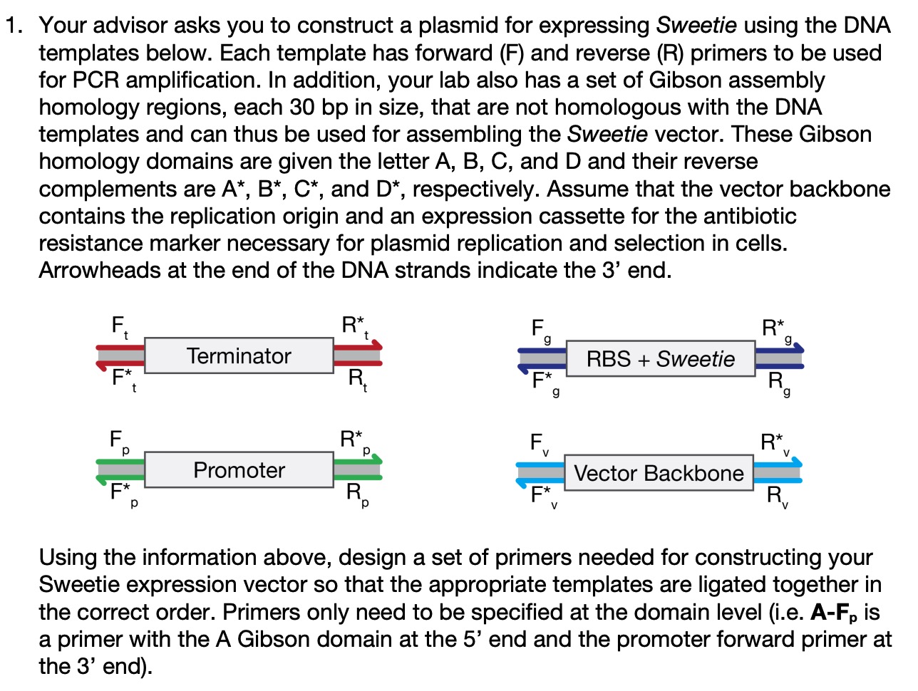 Solved Your advisor asks you to construct a plasmid for | Chegg.com