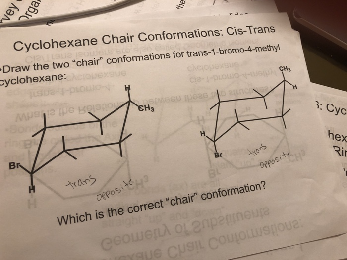 Solved Orga vey the Cyclohexane Chair Conformations: | Chegg.com