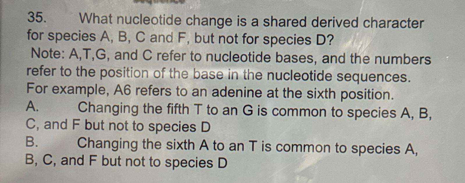 Solved What nucleotide change is a shared derived character | Chegg.com