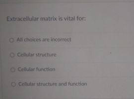 Solved Extracellular matrix is vital for:All choices are | Chegg.com