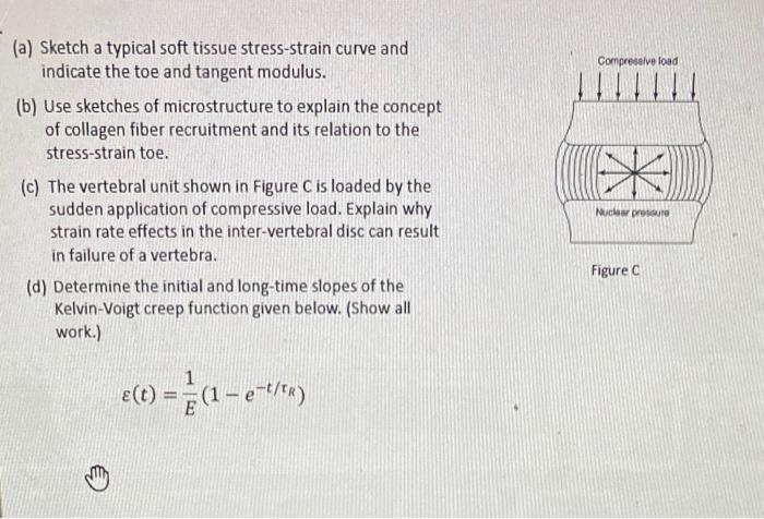 Solved Compressive load (a) Sketch a typical soft tissue | Chegg.com