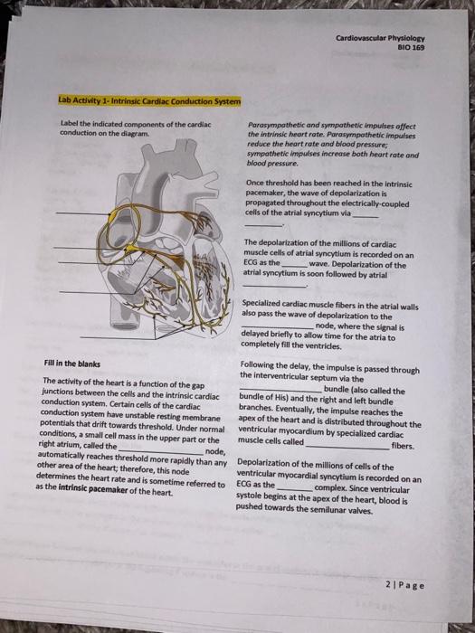 Solved Cardiovascular Physiology BIO 169 Lab Activity 1- | Chegg.com