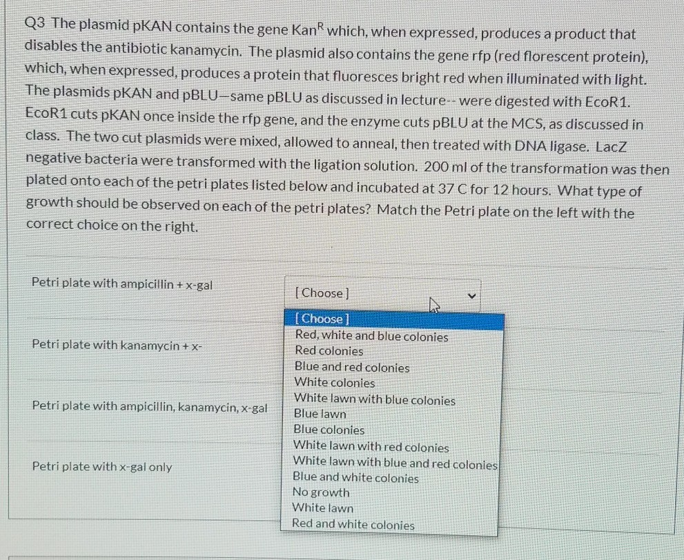 Solved Q3 The plasmid pKAN contains the gene KanR which, | Chegg.com