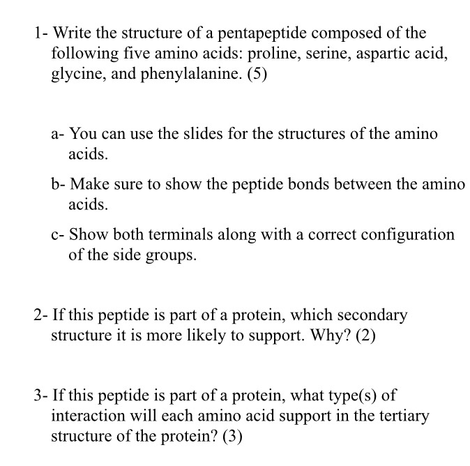 Solved 1- Write the structure of a pentapeptide composed of | Chegg.com