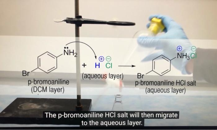 Solved 1. When you add the HCl to the dichloromethane (DCM), | Chegg.com
