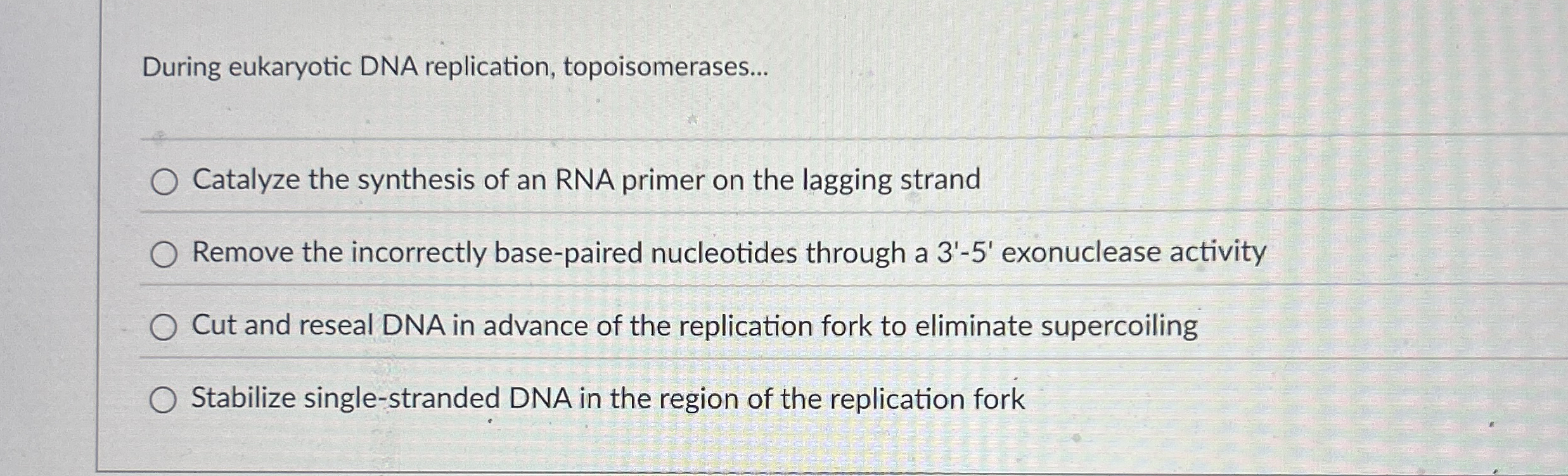 Solved During eukaryotic DNA replication, | Chegg.com