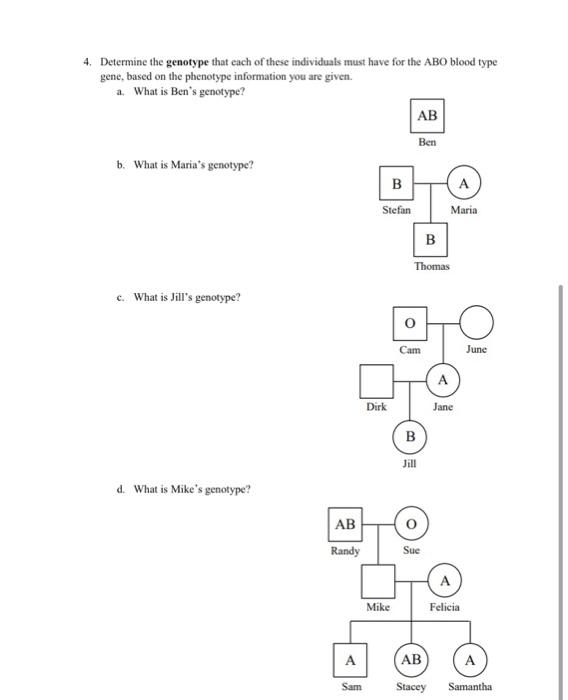 Solved 4. Determine the genotype that each of these | Chegg.com