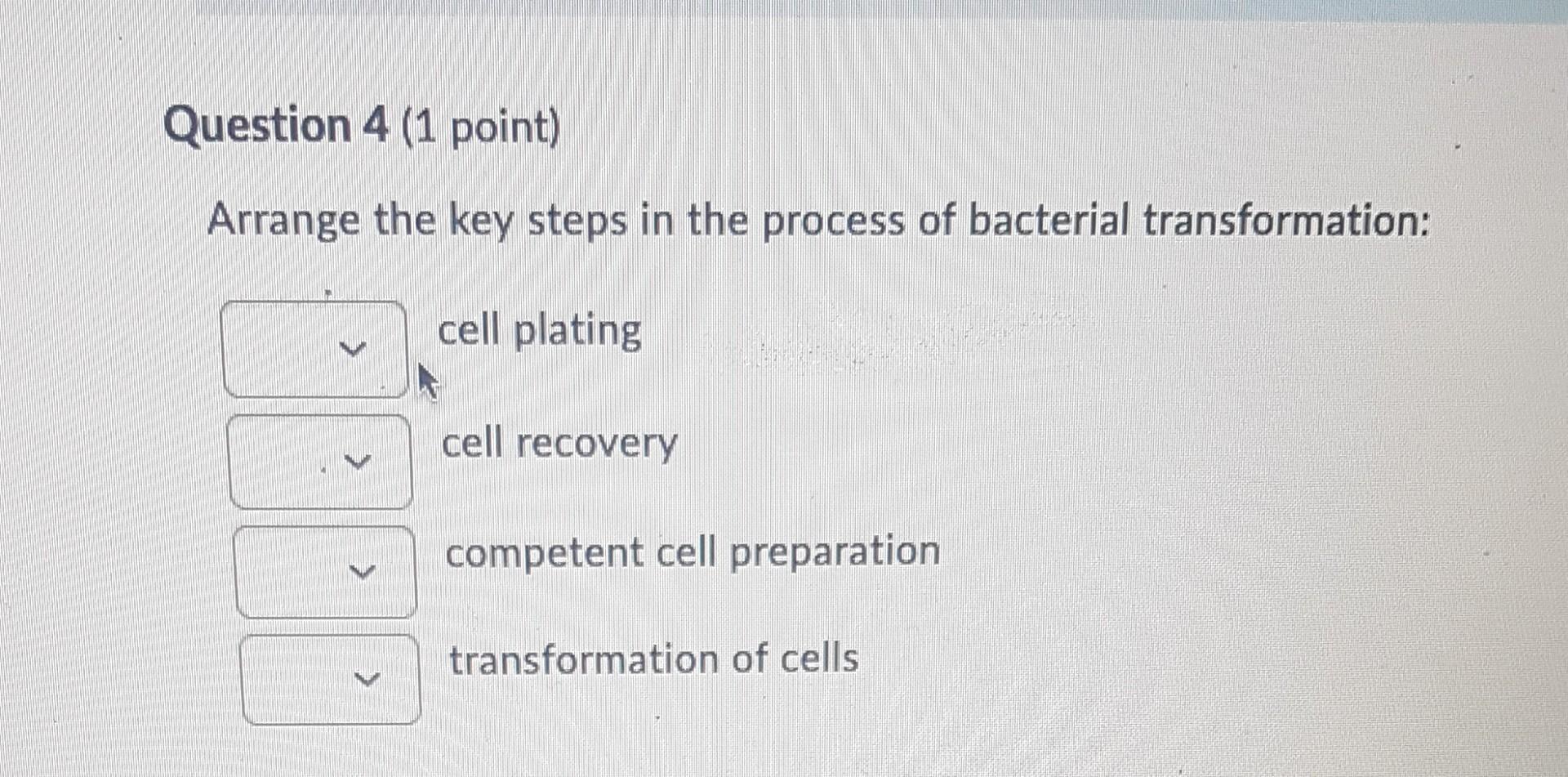 Solved Arrange the key steps in the process of bacterial | Chegg.com