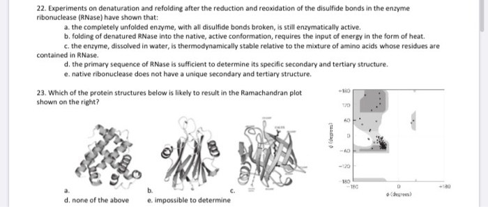 22. Experiments on denaturation and refolding after | Chegg.com