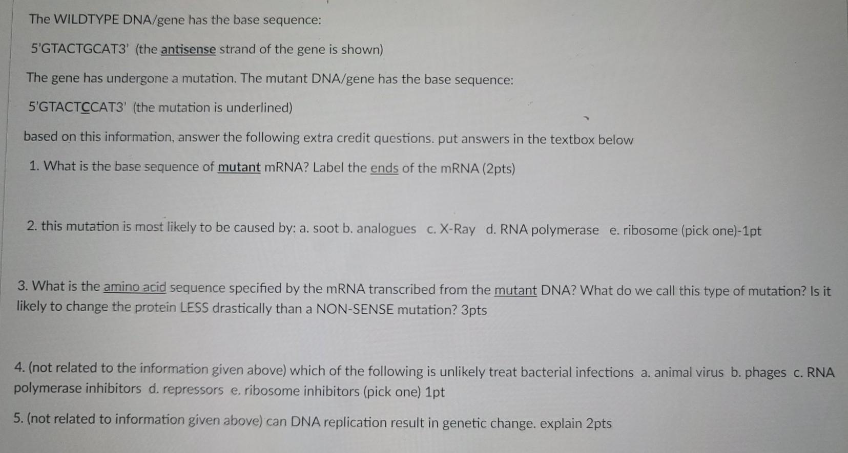 Solved The WILDTYPE DNA/gene has the base sequence: | Chegg.com