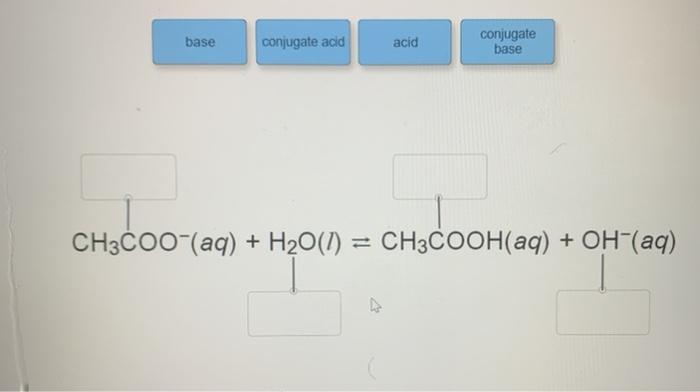 Solved base conjugate acid acid conjugate base CH3COO-(aq) + | Chegg.com