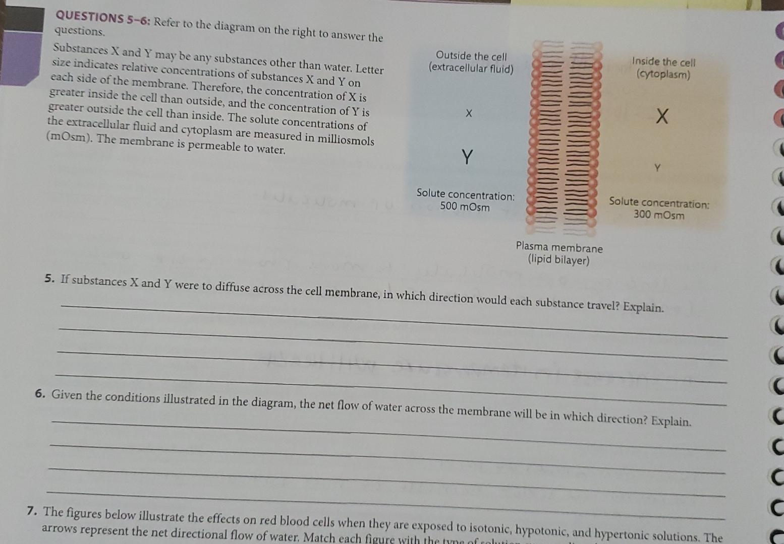 Solved QUESTIONS 5-6: Refer to the diagram on the right to | Chegg.com