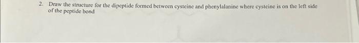 Solved 2. Draw the structure for the dipeptide formed | Chegg.com