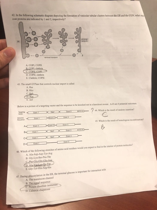 Solved 42. In the following schematic diagram depicting the | Chegg.com