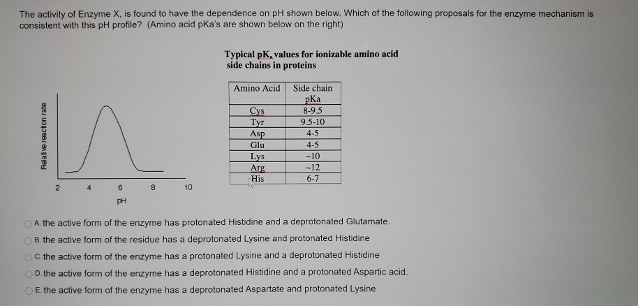 Solved The activity of Enzyme X, is found to have the | Chegg.com