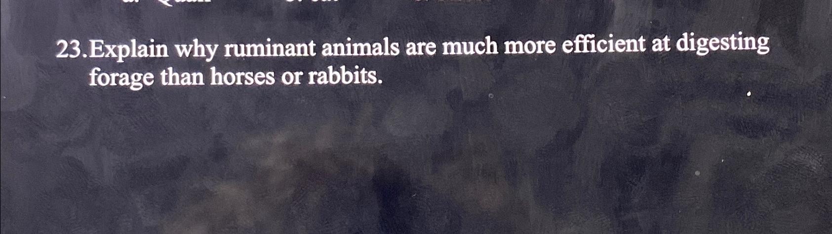 Solved Explain why ruminant animals are much more efficient | Chegg.com