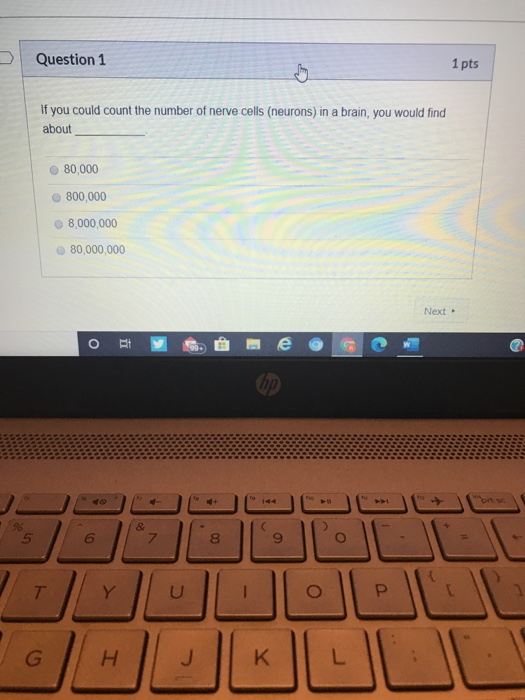 Solved Question 1 1 pts If you could count the number of | Chegg.com