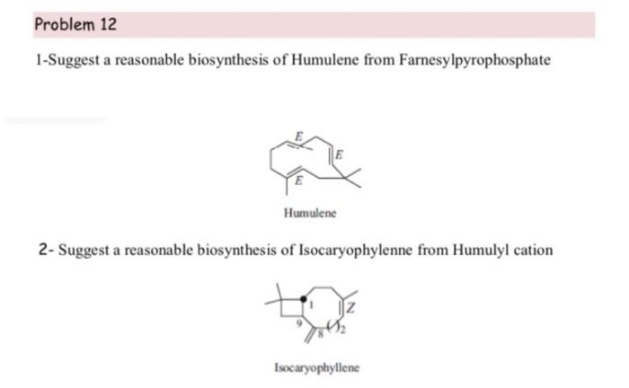 Solved Problem 12 1-Suggest a reasonable biosynthesis of | Chegg.com